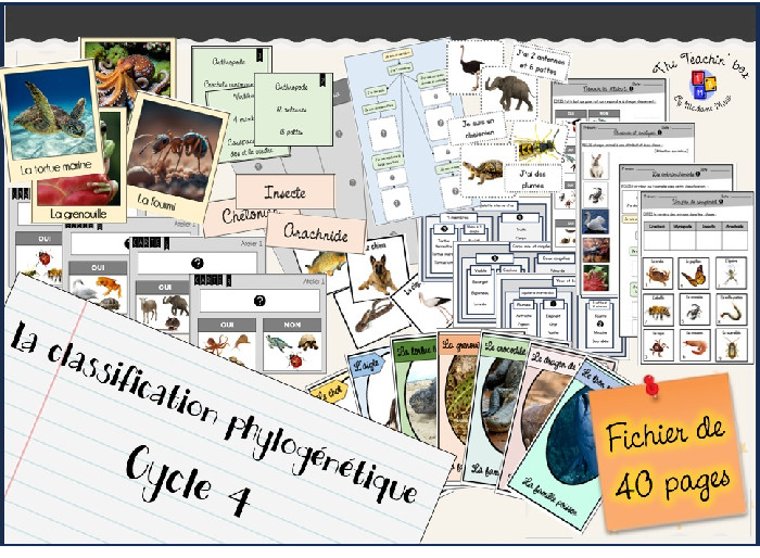 Teachin'Box - La classification phylogénétique - Cycle 4 :: Teachinbox